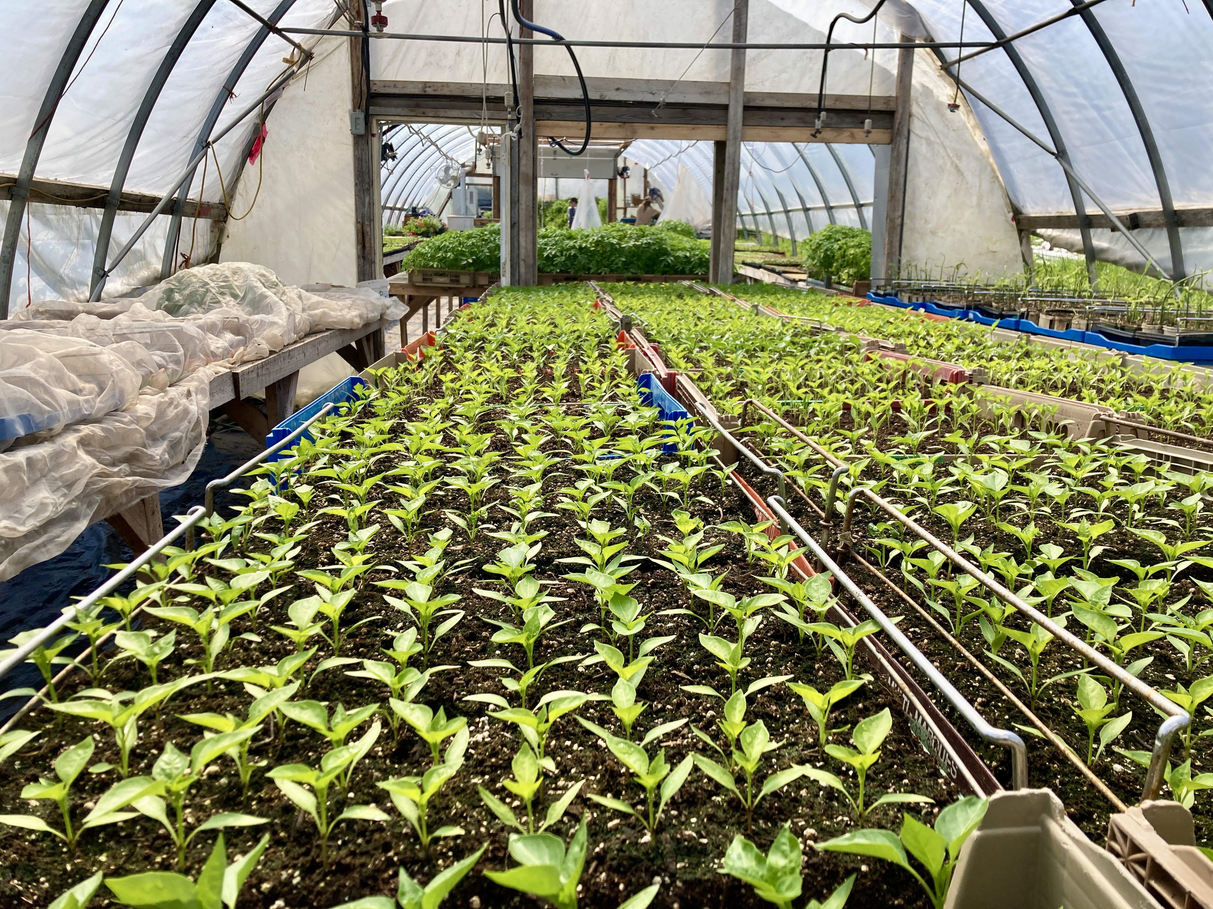 Rest | Abundant Acres Farm